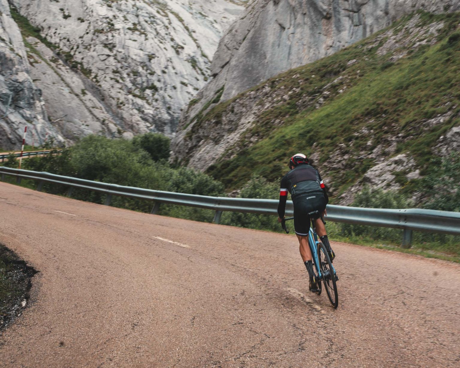 MAHLE Rear Hubs and Mid Drives